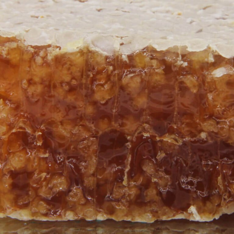 Honey Square - The IBAclg